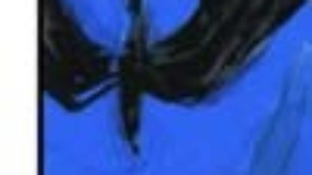 Abane Ramdane et Franz Fanon, les combattants de la liberté