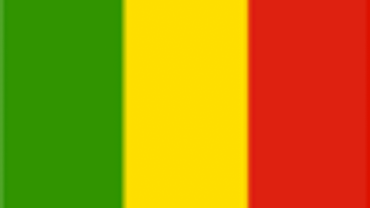 Paris fête l'artisanat malien