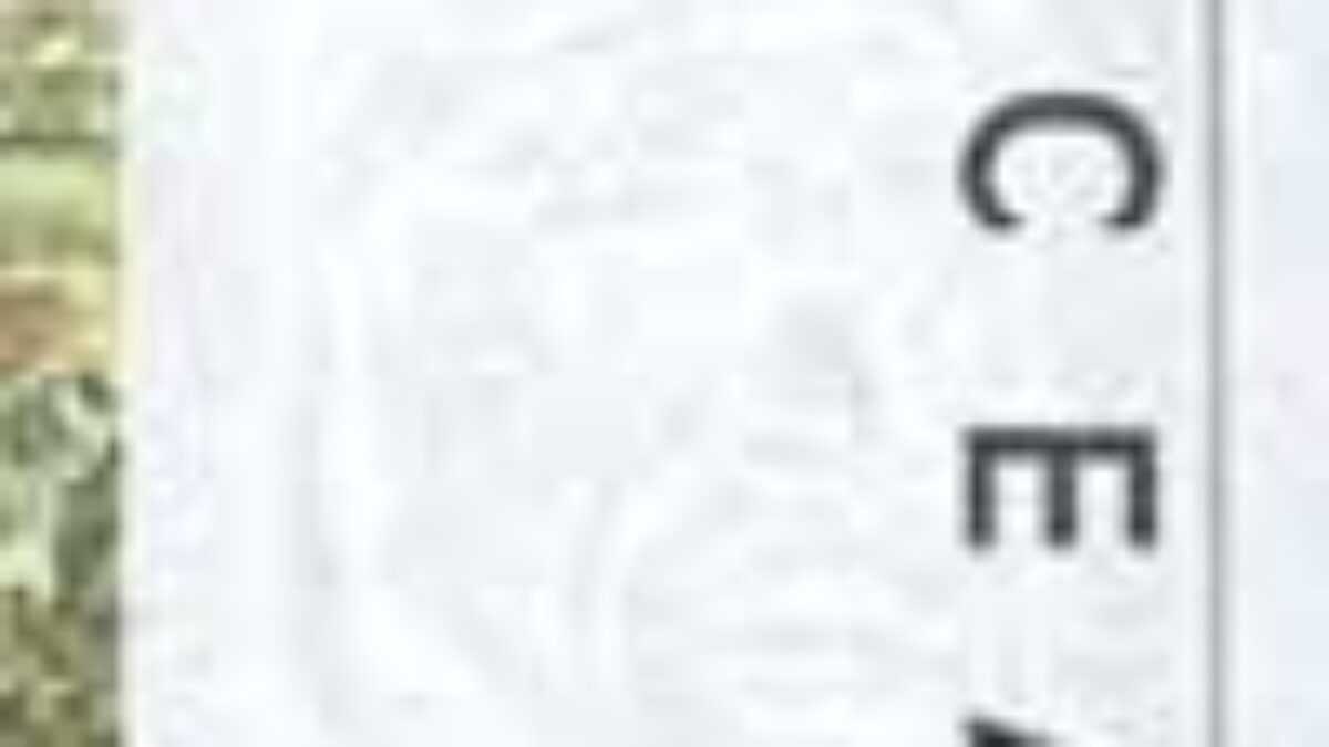 Mali : le billet de 500 FCFA neuf signe extérieur de richesse