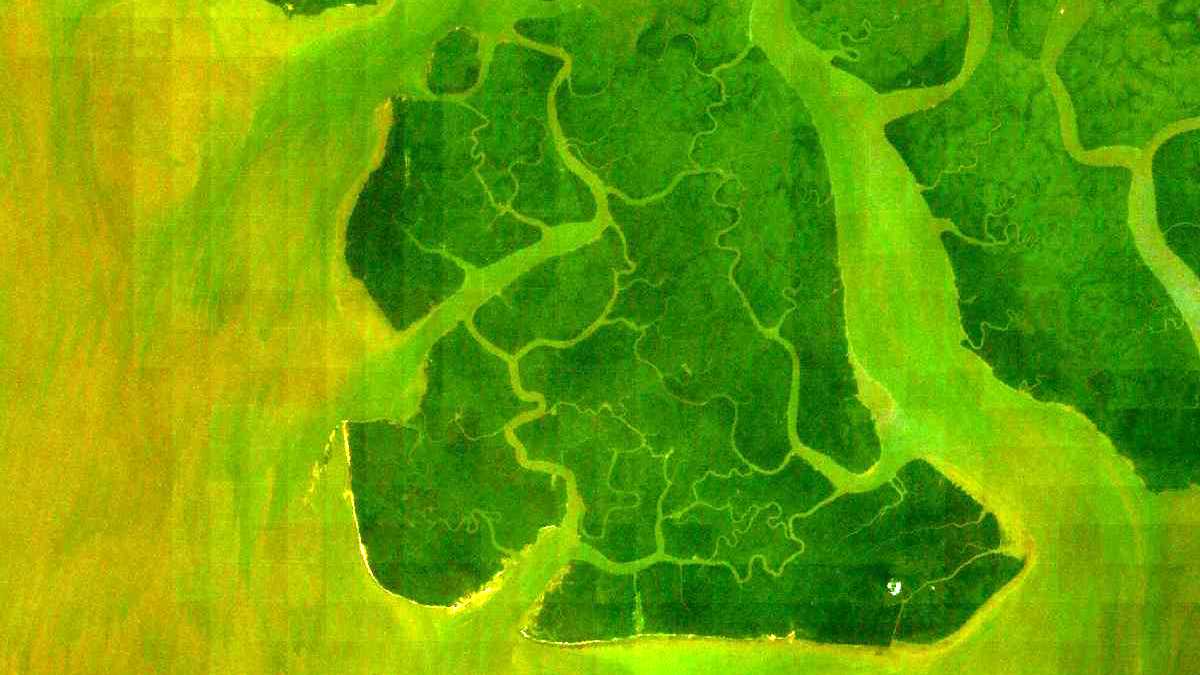 Nigeria hands over Bakassi to Cameroon