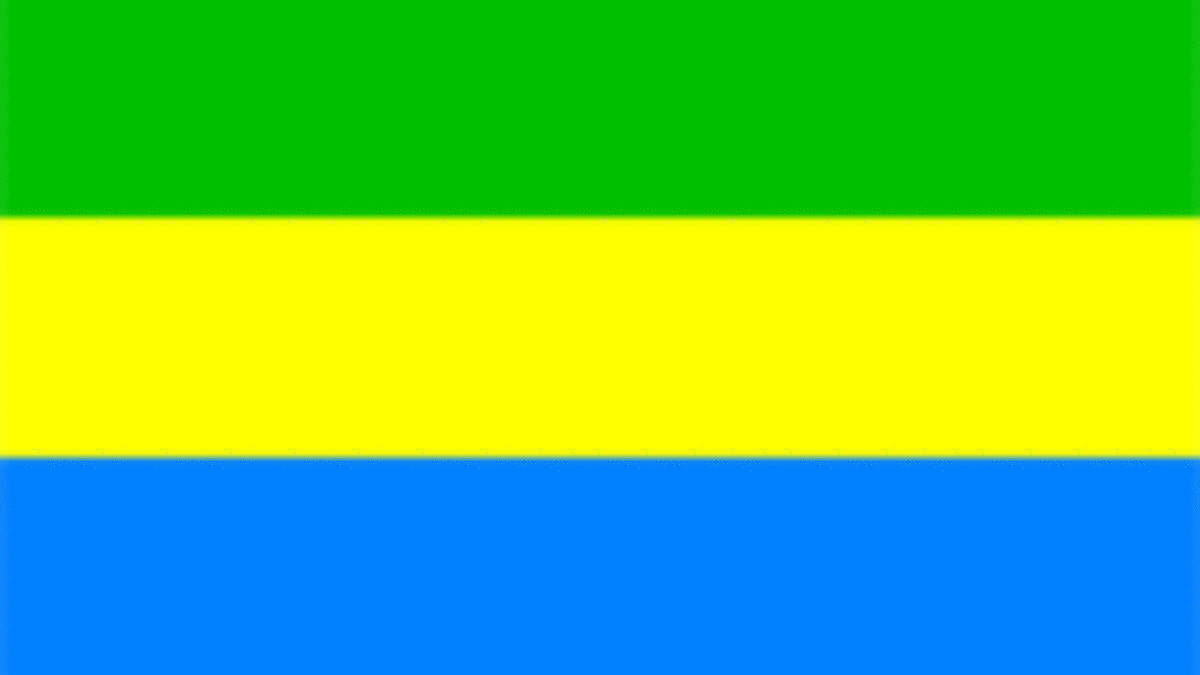 Composition du nouveau gouvernement gabonais