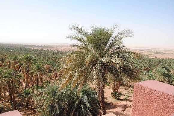 Timimoun : l'oasis rouge s'ouvre au tourisme