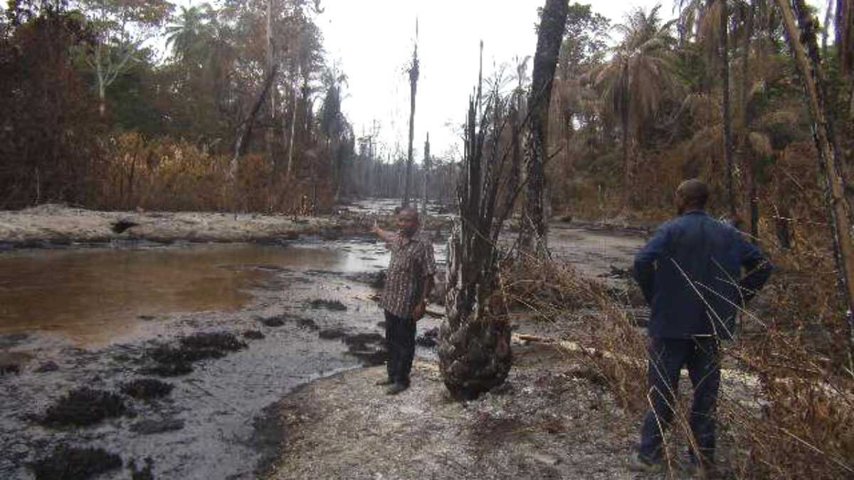Nigeria : UN moves to assess oil pollution in the Niger Delta
