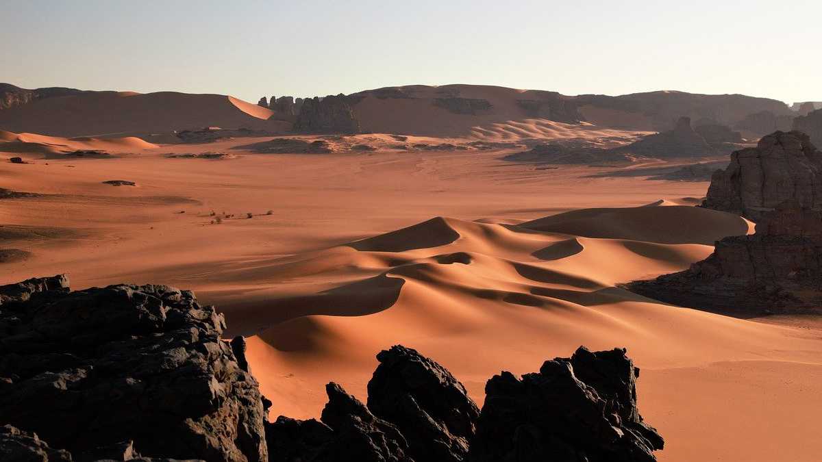 17 touristes libérés dans le Sahara