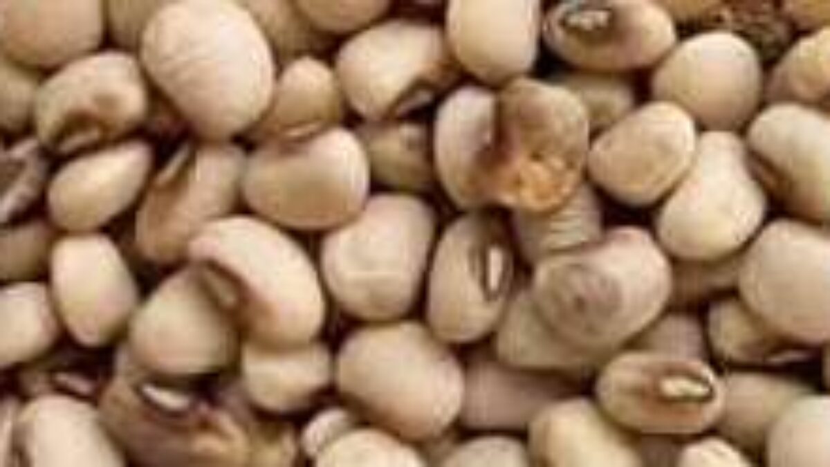 MDambé niébé traditionnel