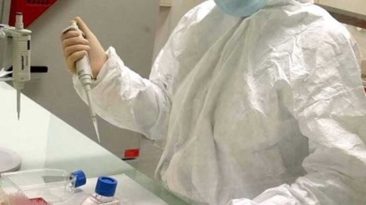 Bientôt un traitement pour le nanisme