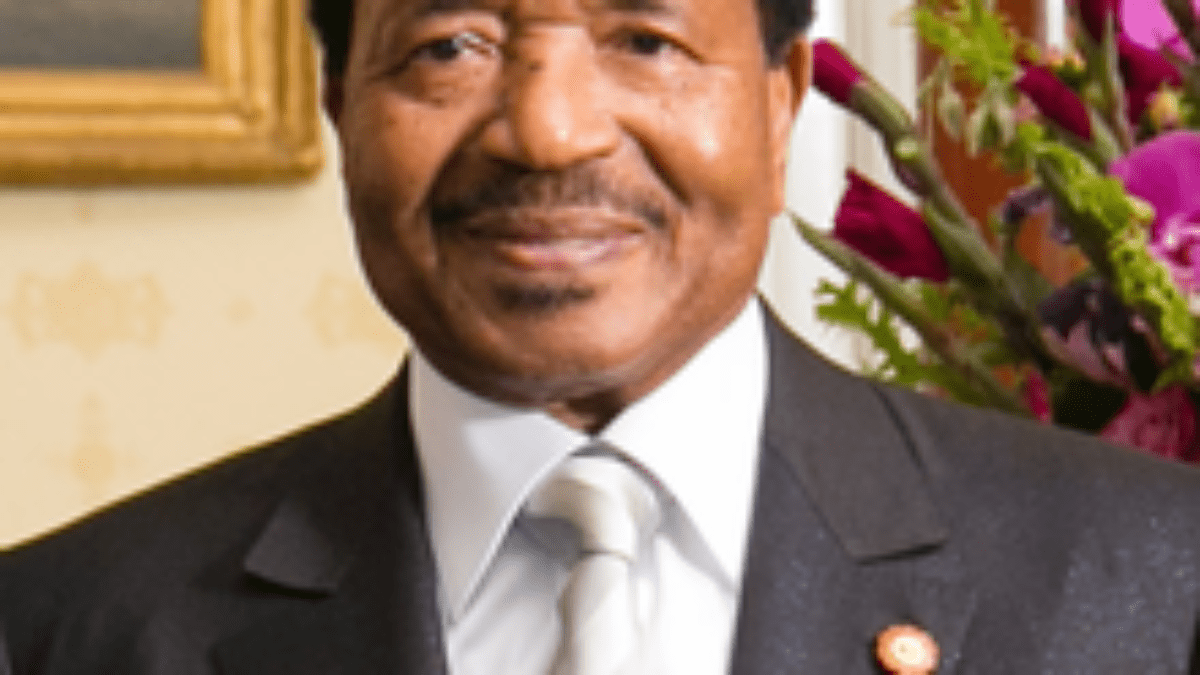 Cameroun : 10 ans après son lancement, où en est l'Opération Épervier Cameroun : 10 ans après son lancement, où en est l'Opération Épervier