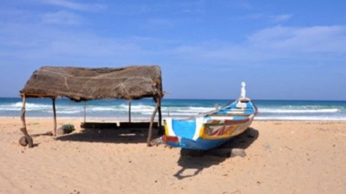 Sénégal, écotourisme: Mboro, " le grenier à légumes"
