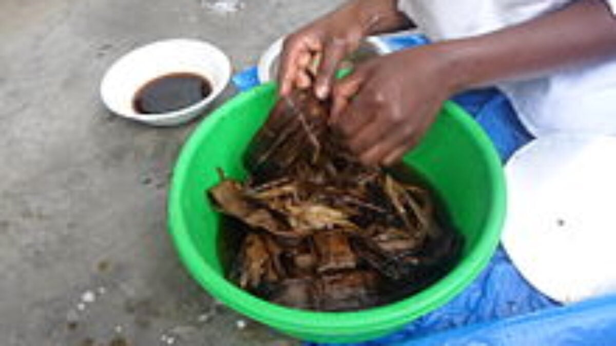 Malewa traditionnel de Gishu