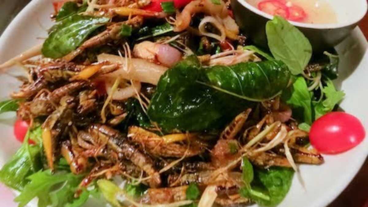 Afrique : des insectes bons à manger