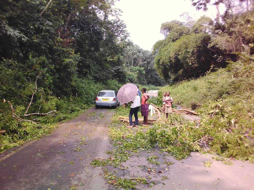 Gabon, Libreville-Bitam : une épopée! Reportage photos