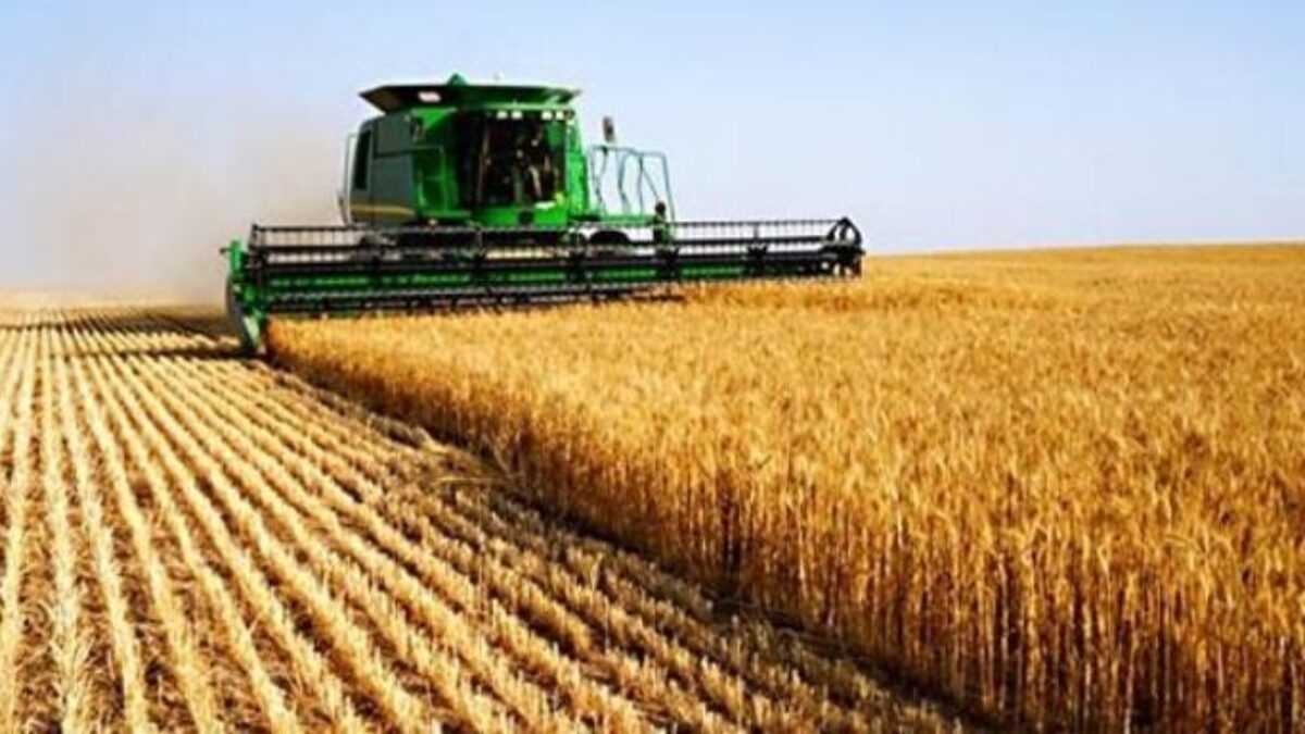 L'agriculture en Algérie : Un secteur en pleine expansion et vecteur de ...