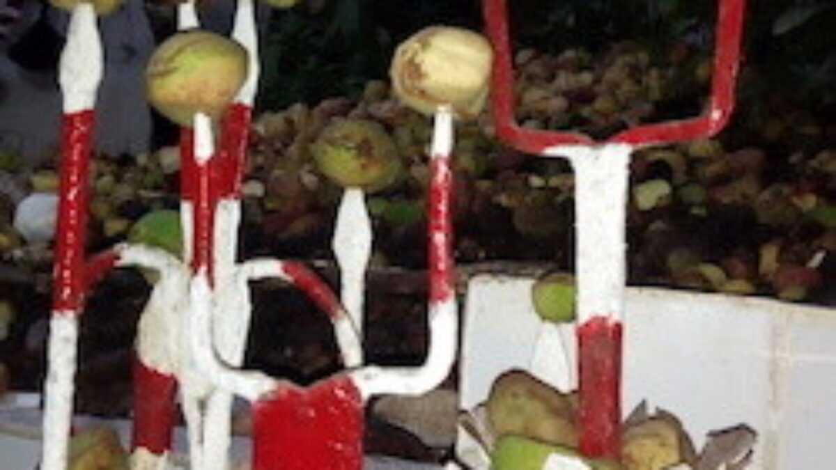 Bénin : le vodoun aux vertus infinies