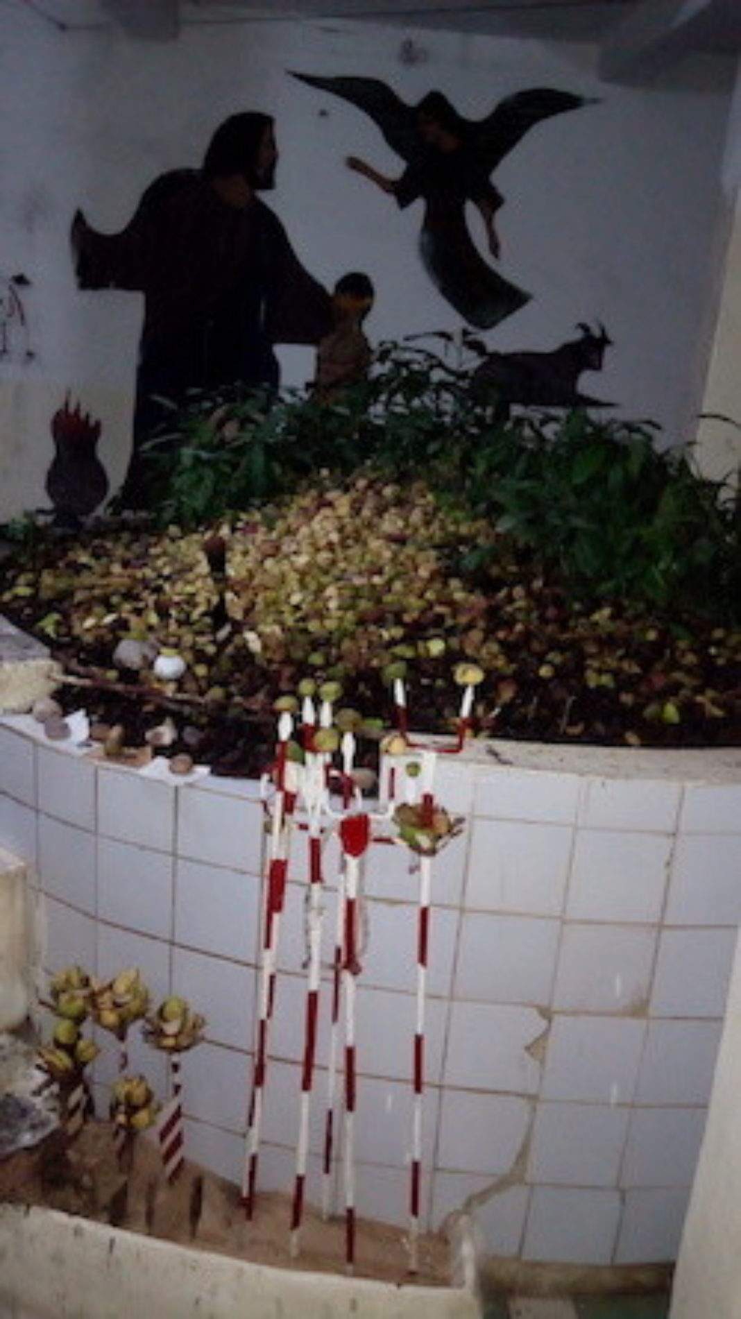 Bénin : le vodoun aux vertus infinies