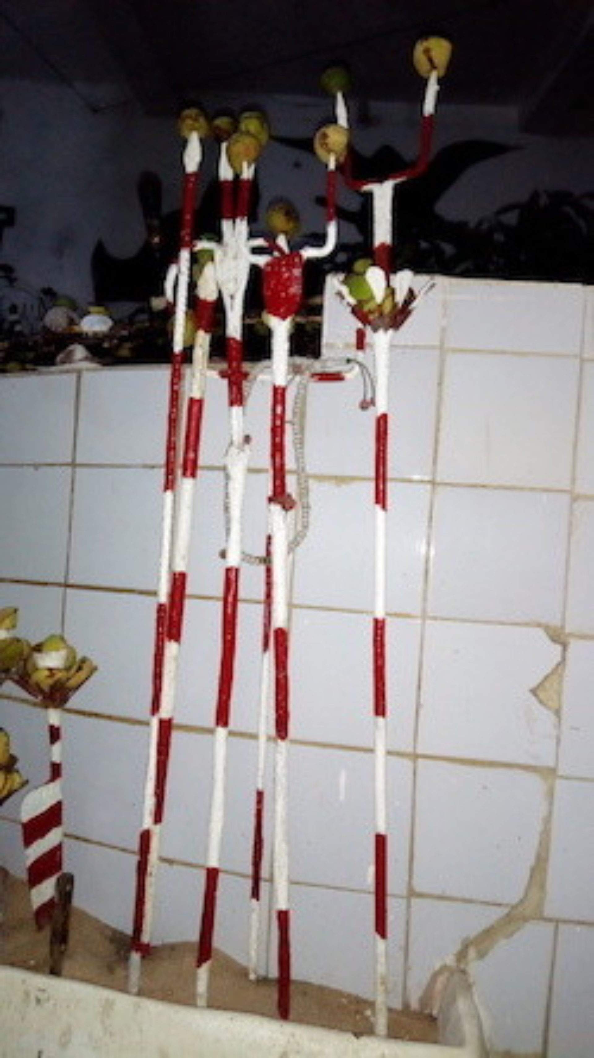 Bénin : le vodoun aux vertus infinies