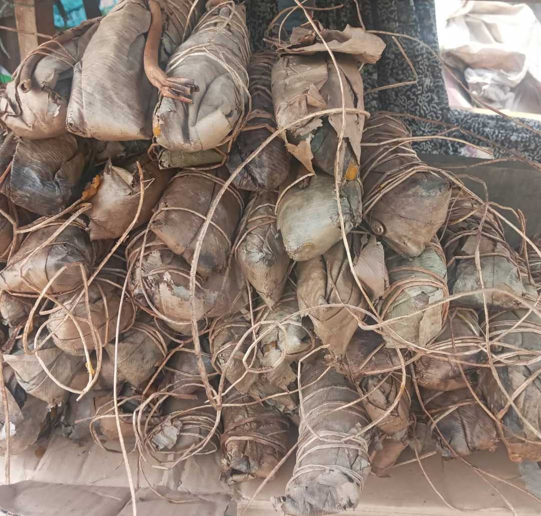 Miondo, bobolo et mintoumba : l’art de transformer le manioc