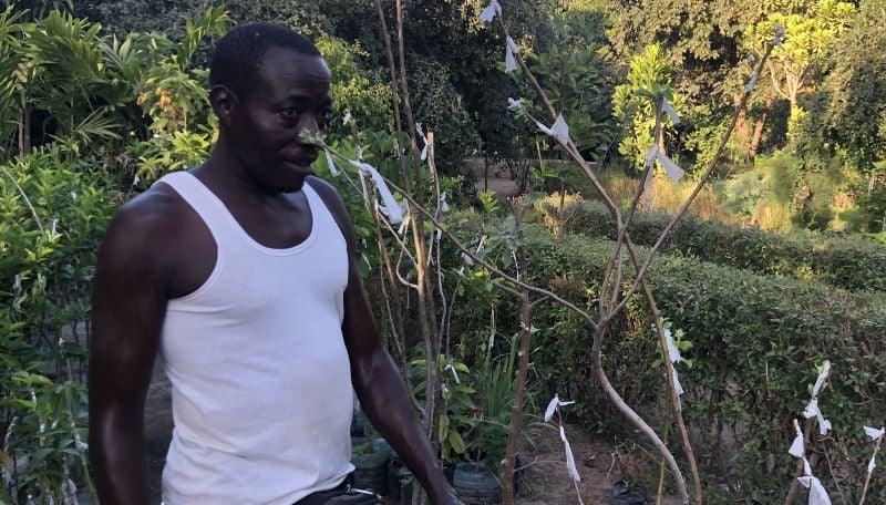 Moustapha Fall, le jardinier qui produit des pommes au Sénégal