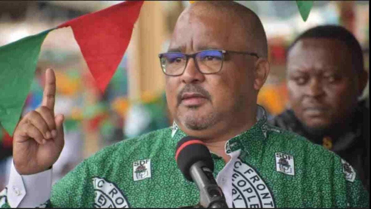 Cameroun : le SDF en crise avant la présidentielle 2024, démissions en ...
