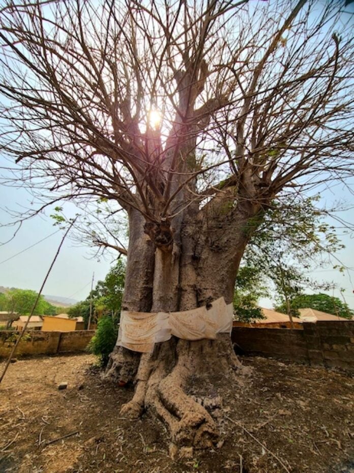 À la découverte de Savè, au Bénin, la cité des « mamelles