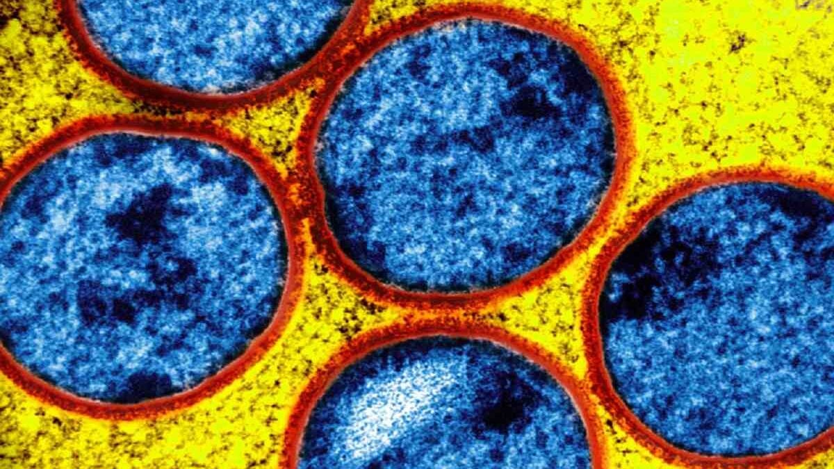 RDC : une campagne massive de vaccination contre le Mpox lancée à Kinshasa