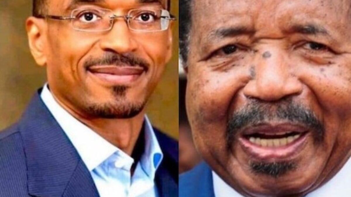 Promulgation de la révision constitutionnelle au Cameroun : un vice ...