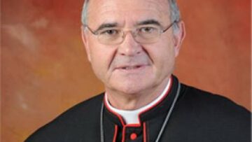 Afrique du Sud : le Cardinal Stephen Brislin, nouvel archevêque de ...