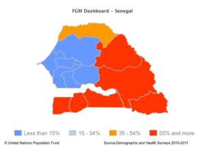 La lutte contre l'excision en Afrique de l'Ouest est un combat de ...
